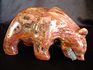 Petrified Wood Bear Eating Fish from Madagascar Minerals